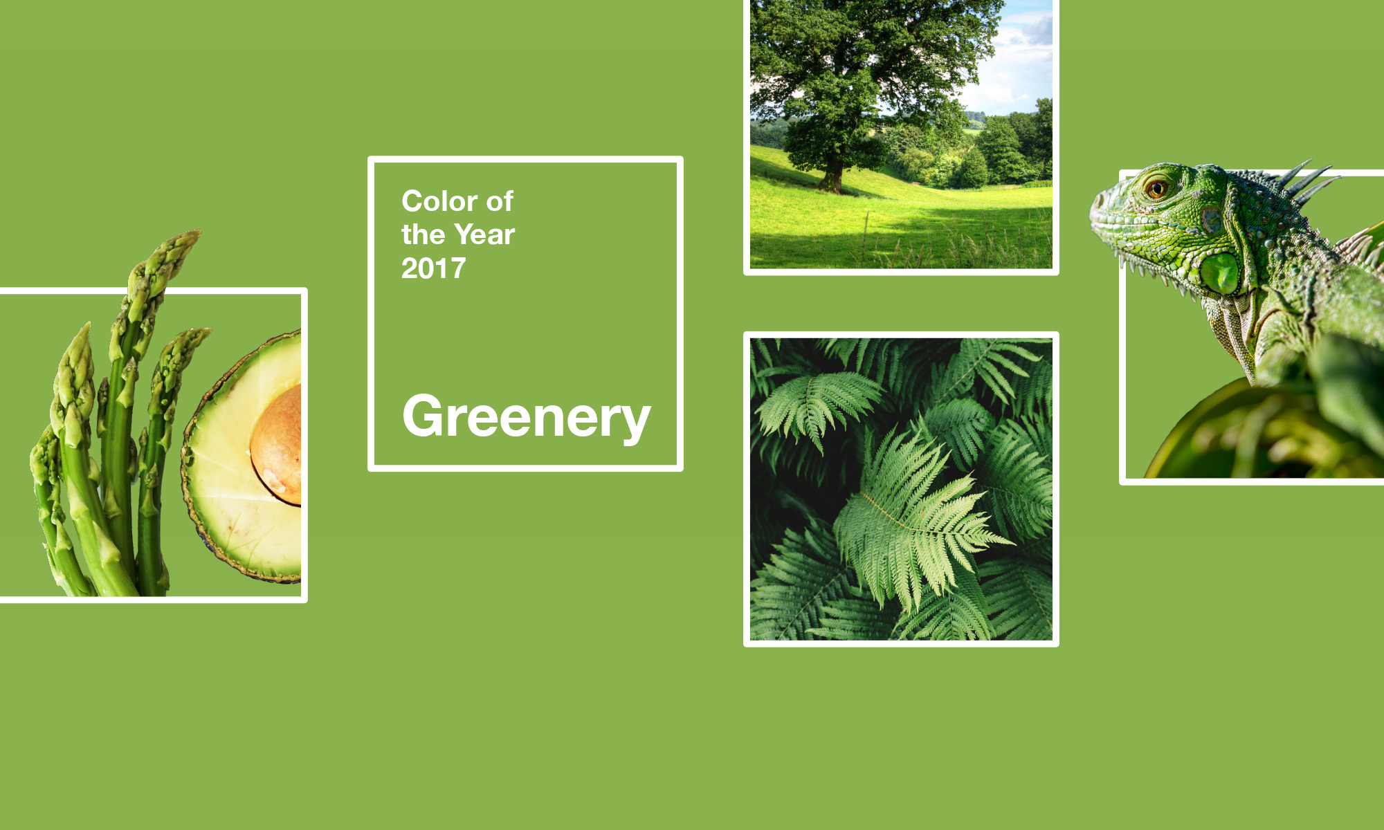 Pantone Greenery 2017 Color COEX | Pantone's Shades Of The Summer